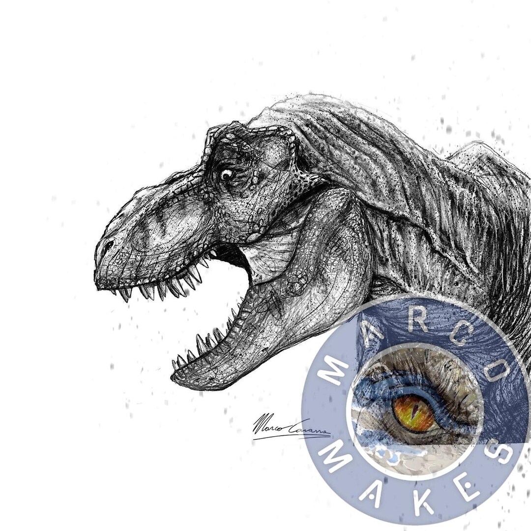 T Rex Drawings In Pencil