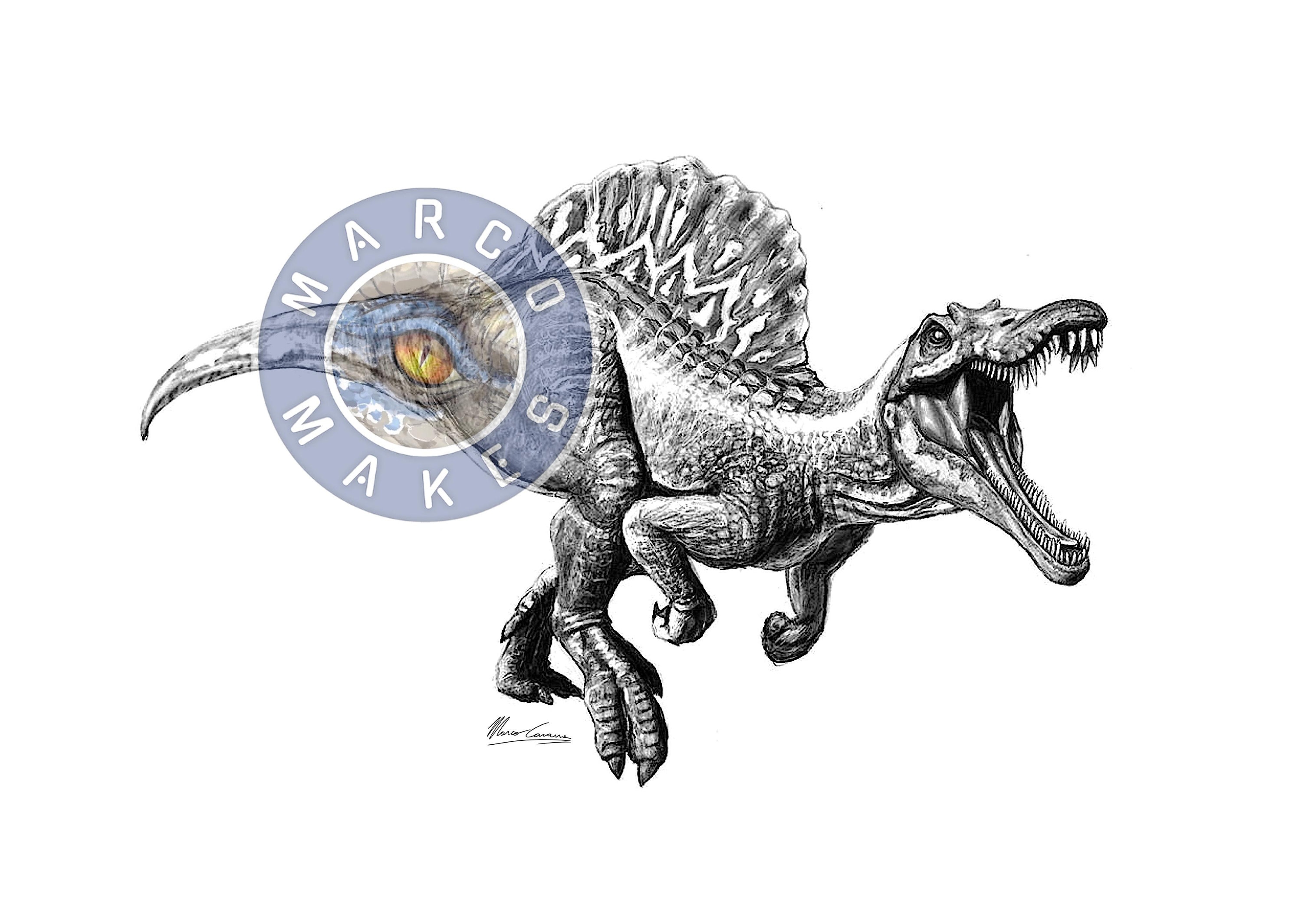 Jurassic Park 3 Spinosaurus Drawing