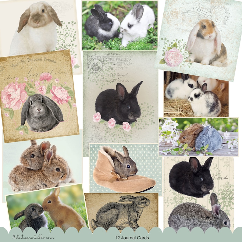 Rabbit Junk Journal Kit, Printable, Instant Download, Ephemera, Bunnies ...