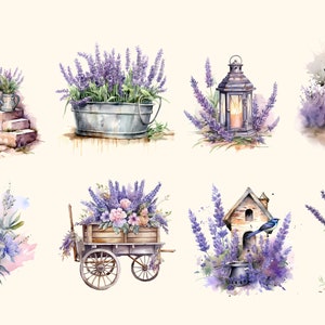 Watercolor Lavender Clipart, Lavender Garden Images, Commercial Use ...