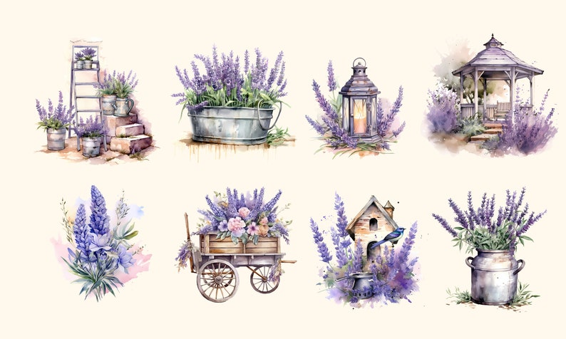 Watercolor Lavender Clipart, Lavender Garden Images, Commercial Use ...