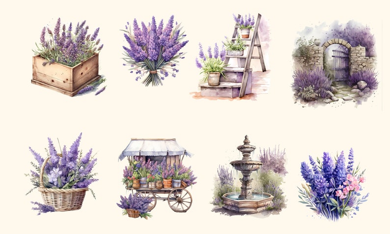Watercolor Lavender Clipart, Lavender Garden Images, Commercial Use ...