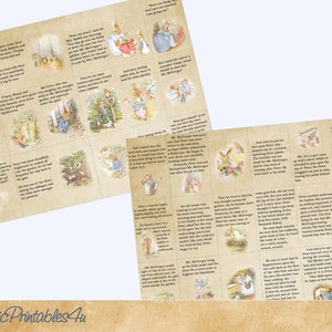 Mini Book Printable Peter Rabbit Mini Book, Instant Download, Junk ...
