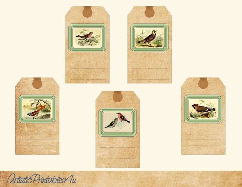 Bird Tags 5 Printable Bird Tags, Instant Download, Digital Journaling ...