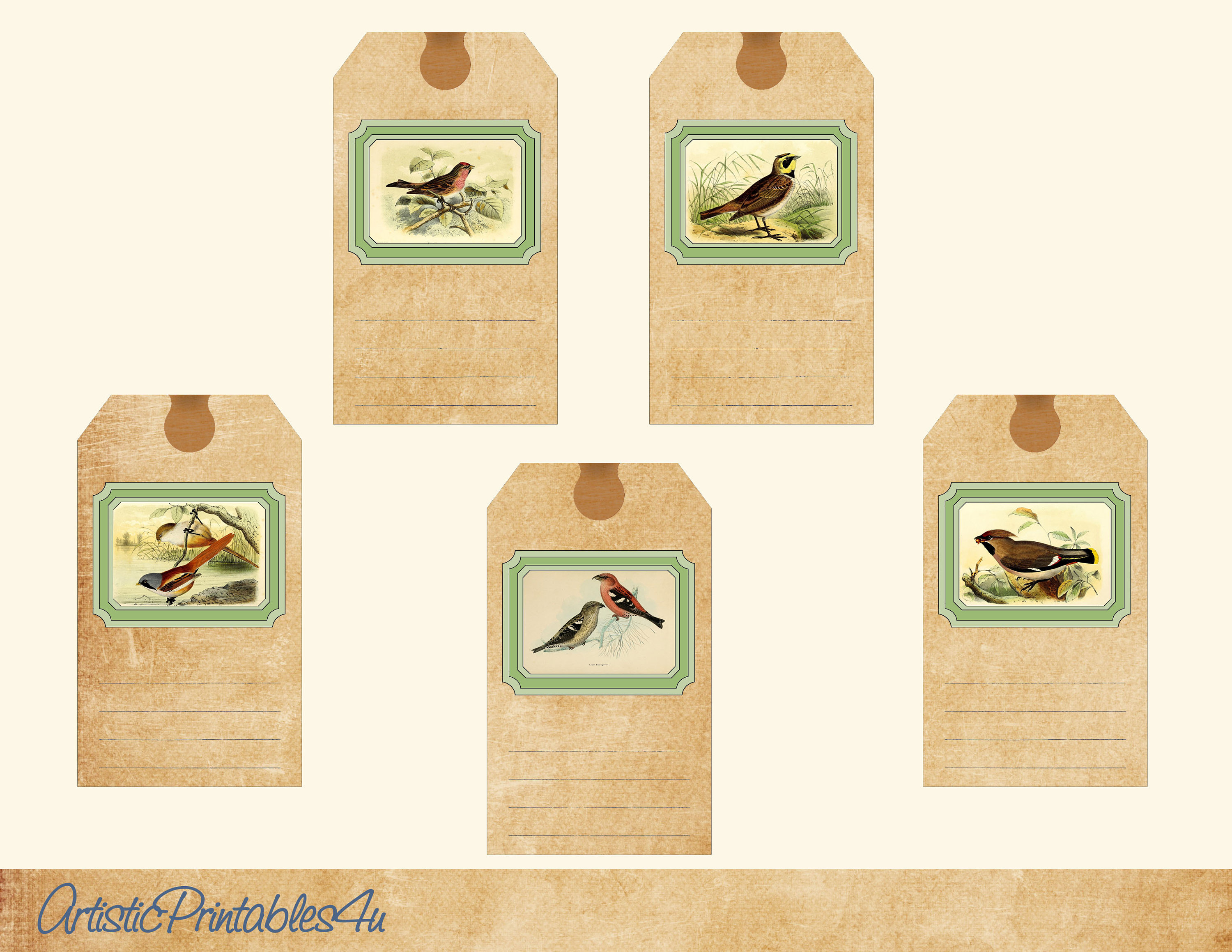 Bird Tags 5 Printable Bird Tags, Instant Download, Digital Journaling ...