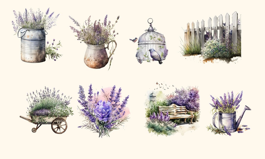 Watercolor Lavender Clipart, Lavender Garden Images, Commercial Use ...