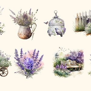 Watercolor Lavender Clipart, Lavender Garden Images, Commercial Use ...