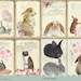 Rabbit Junk Journal Kit, Printable, Instant Download, Ephemera, Bunnies ...