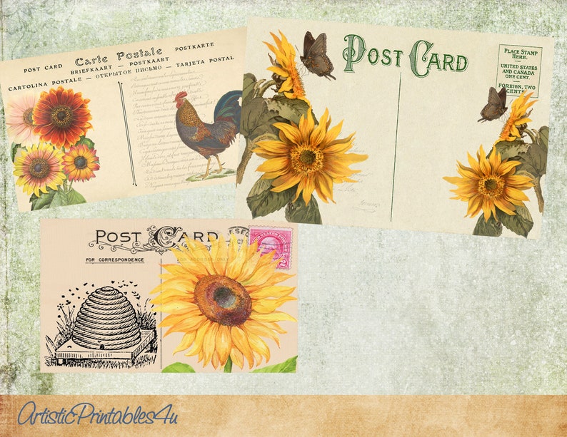 Printable Sunflower Postcards: Vintage Ephemera (digital Download) - Etsy