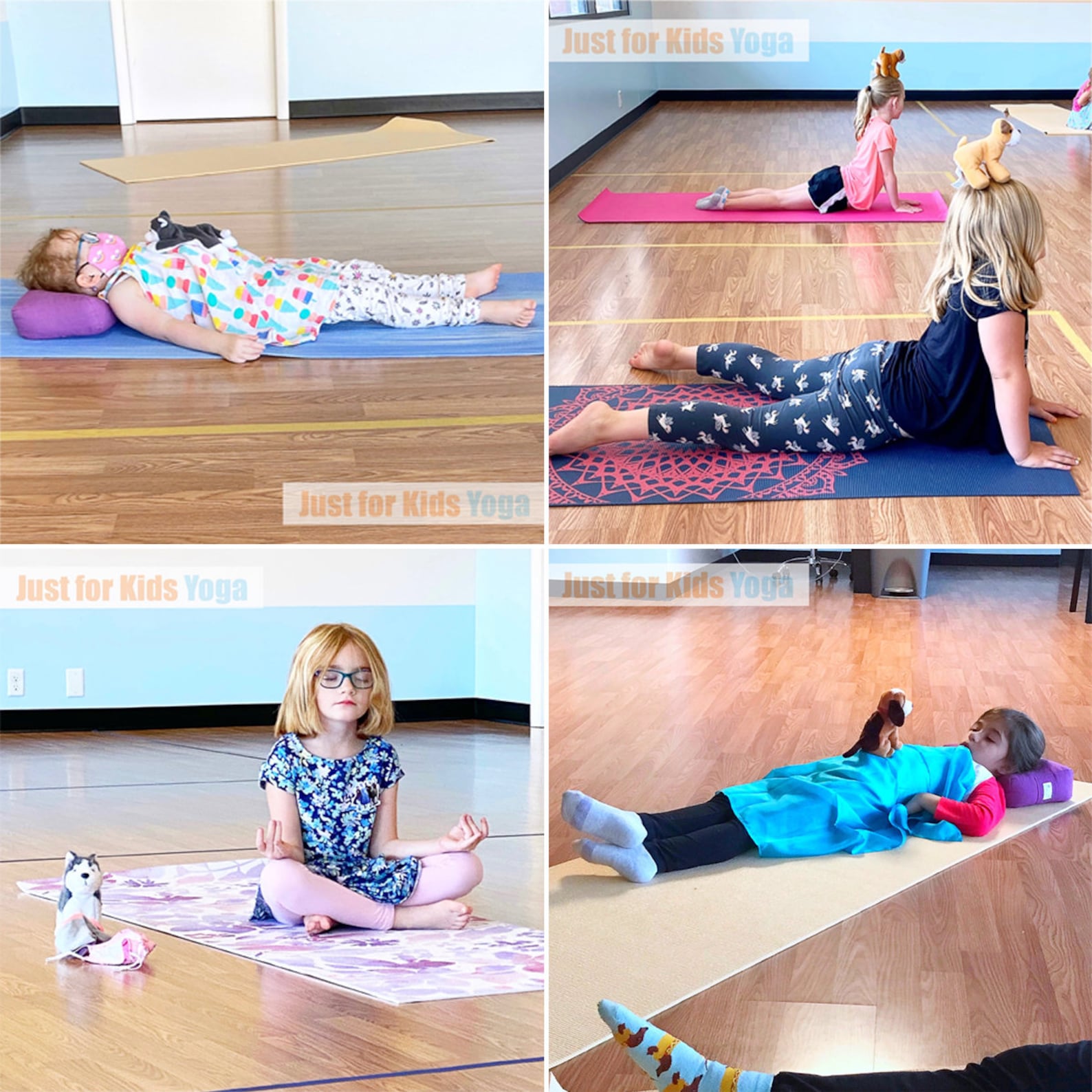 Pet Yoga Lesson Plan Kit, Animal Yoga, Pets, Mindfulness, Kids Yoga ...