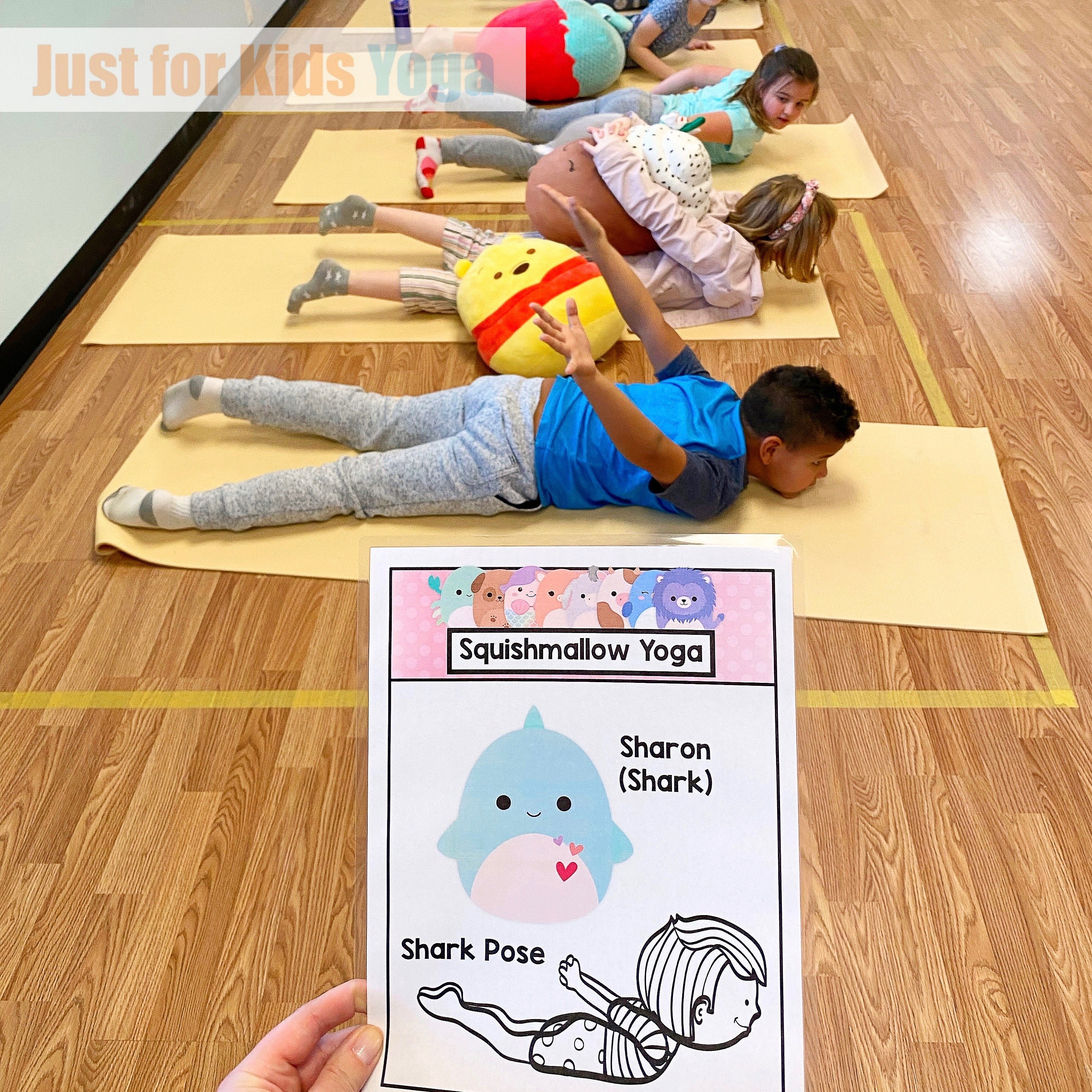 Squishies Yoga Lesson Plan Kit, Yoga Game, Mindfulness, Kids Yoga Class ...