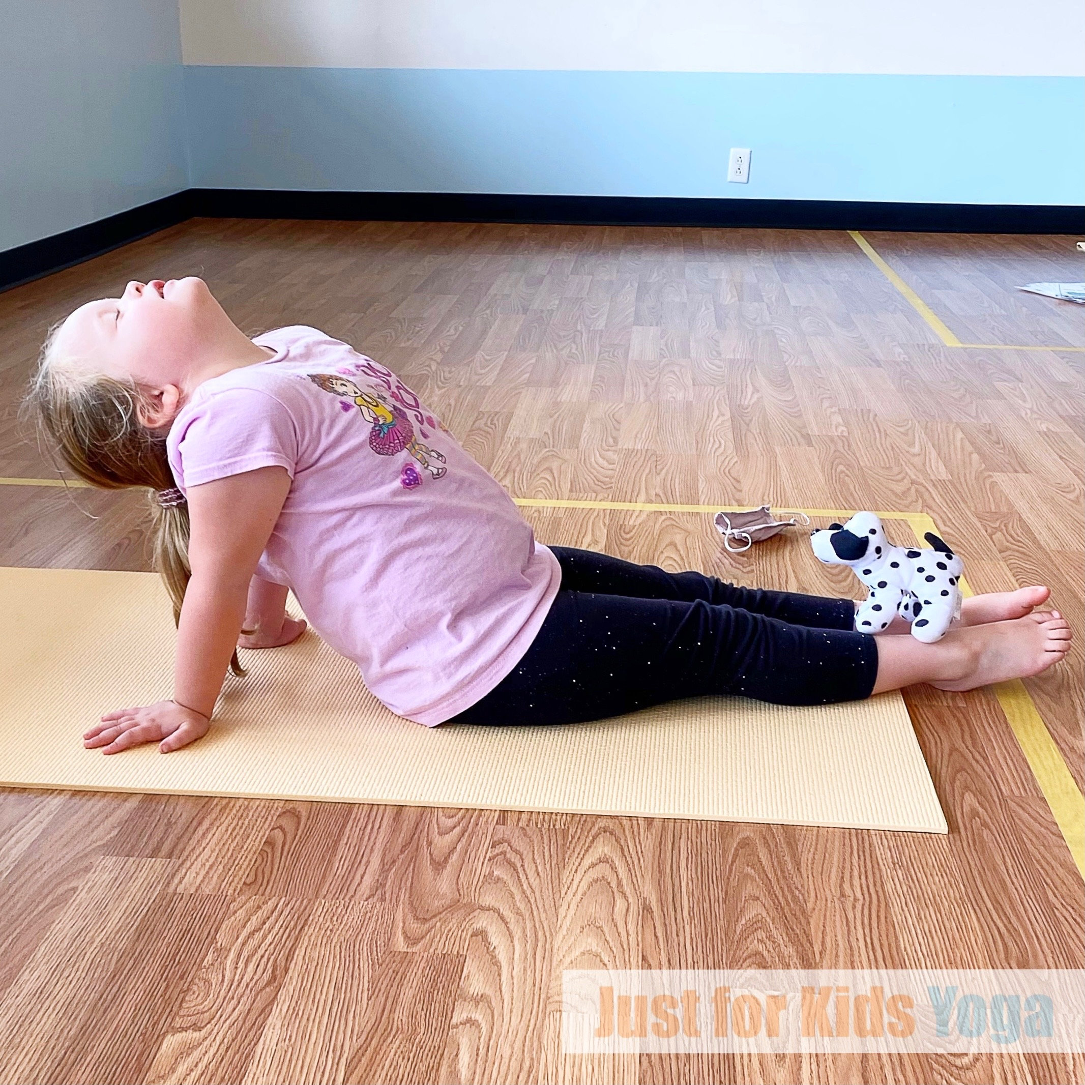 Pet Yoga Lesson Plan Kit Animal Yoga Pets Mindfulness Kids - Etsy