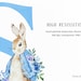 Peter Rabbit Floral Blue Alphabet Clipart | Watercolor Alphabet PNG ...