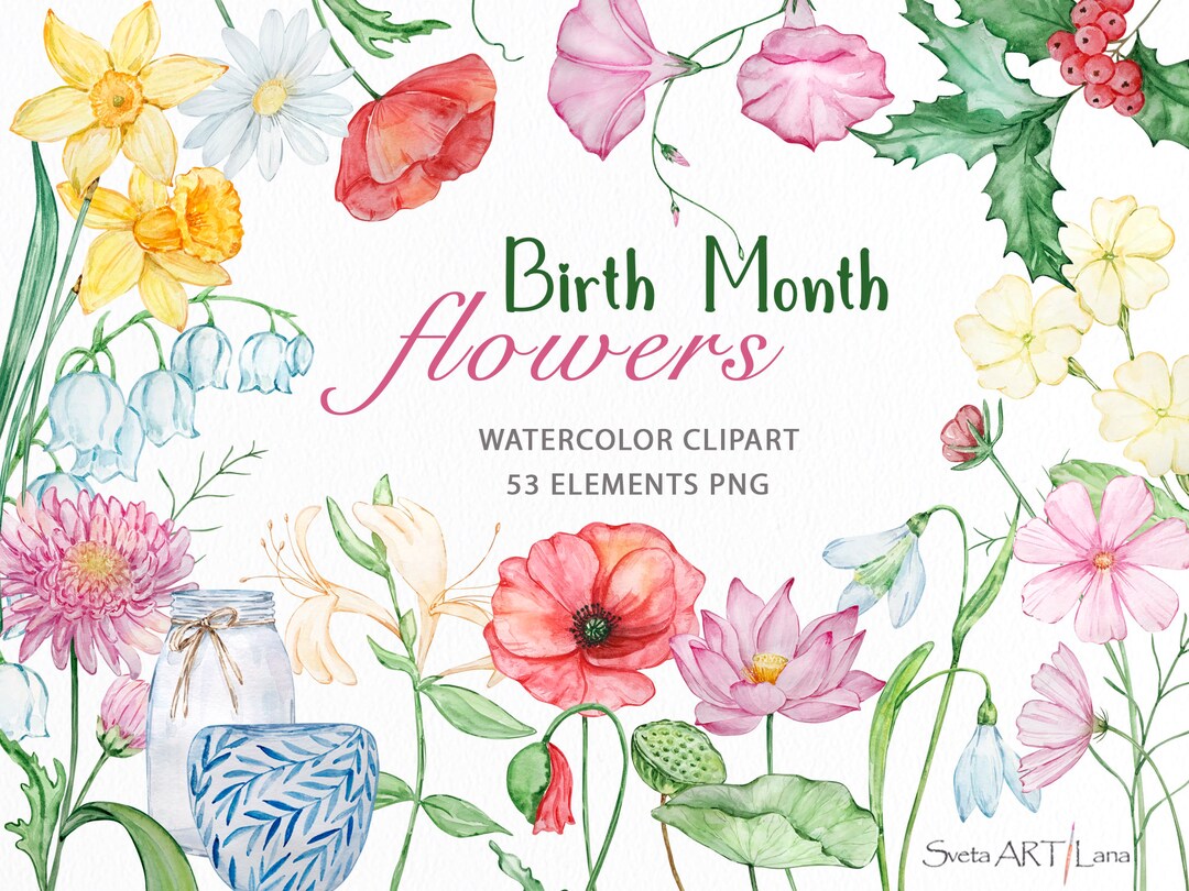Watercolor Birth Month Flower Clipart | Floral PNG | Birthday Florals ...