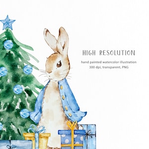 Peter Rabbit Christmas Clipart | Watercolor Winter Rabbit PNG | Beatrix ...