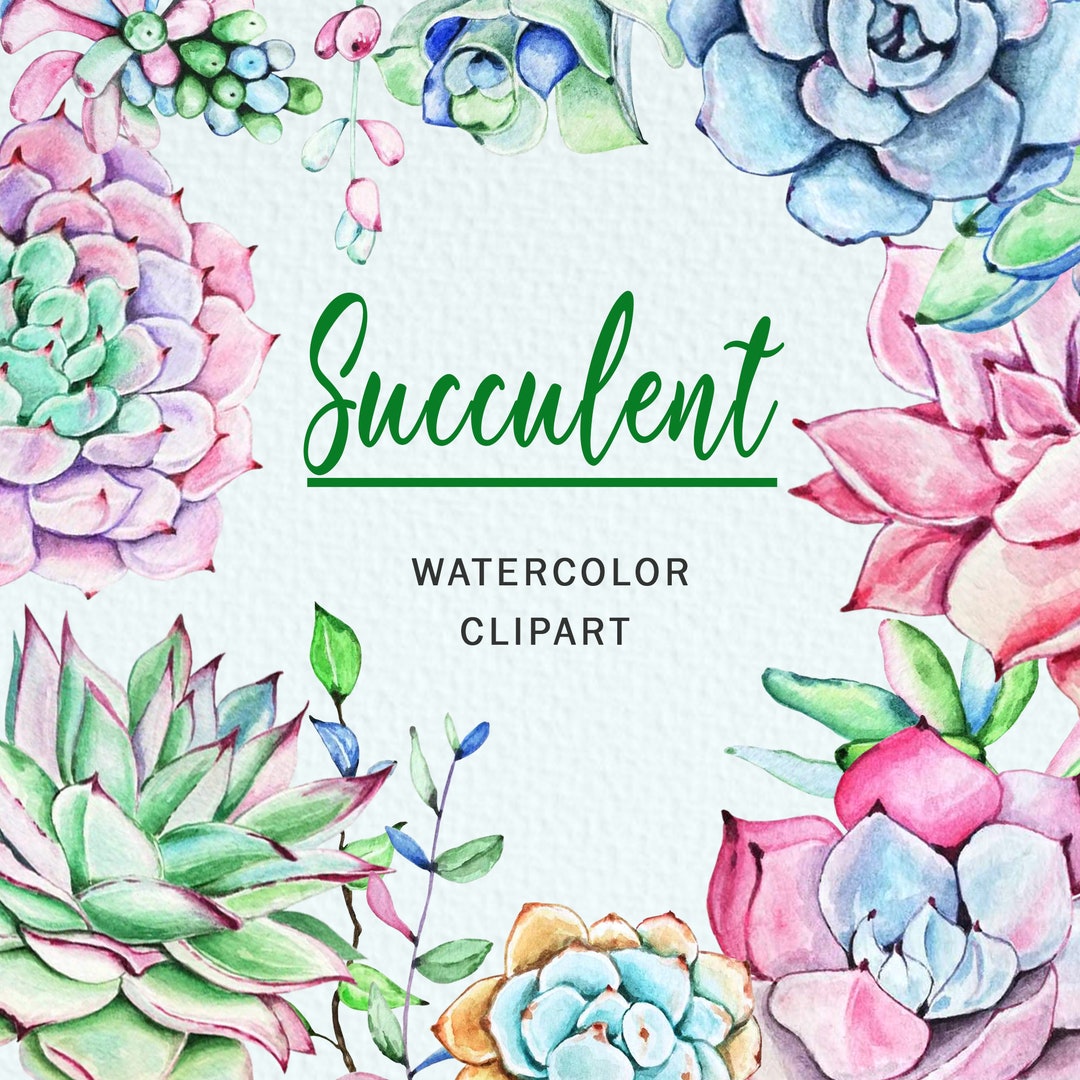Succulent Watercolor Clipart | Greenery Floral Clipart | Home Plants ...