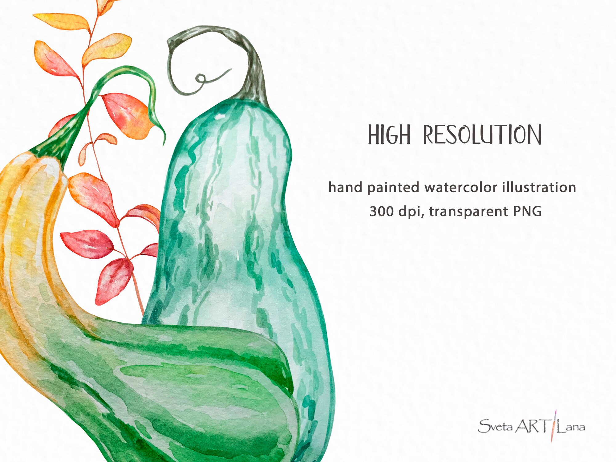 Pumpkin Watercolor Clipart Autumn Harvest Fall Clipart - Etsy