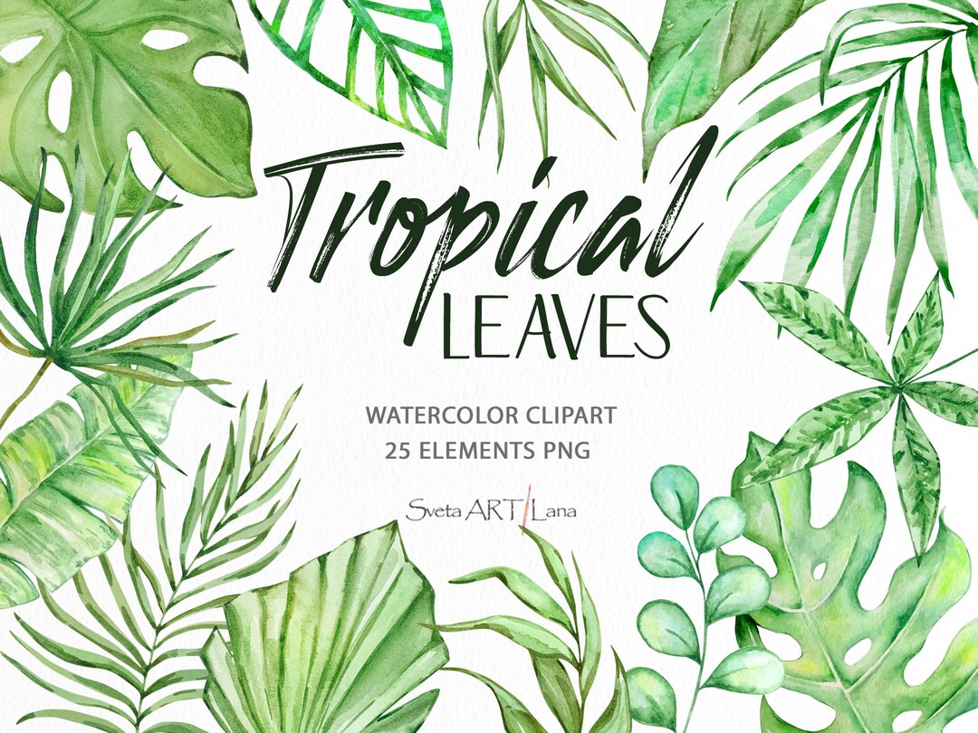 Watercolor Tropical Leaves Clipart | Greenery Clipart | Tropical Plants ...