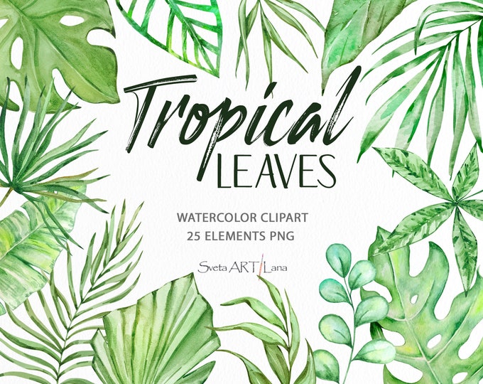 Tropical Leaves Clipart | Green Jungle Leaves | Green Monstera Leaves ...