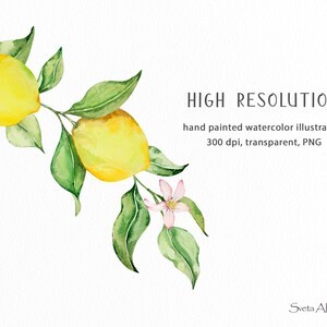 Watercolor Lemons Frames Clipart | Tropical Citrus Png | Botanical ...