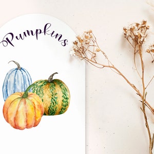 Watercolor Pumpkin Clipart Autumn Pumpkins Clip Art Fall - Etsy