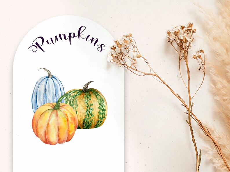 Watercolor Pumpkin Clipart Autumn Pumpkins Clip Art Fall - Etsy