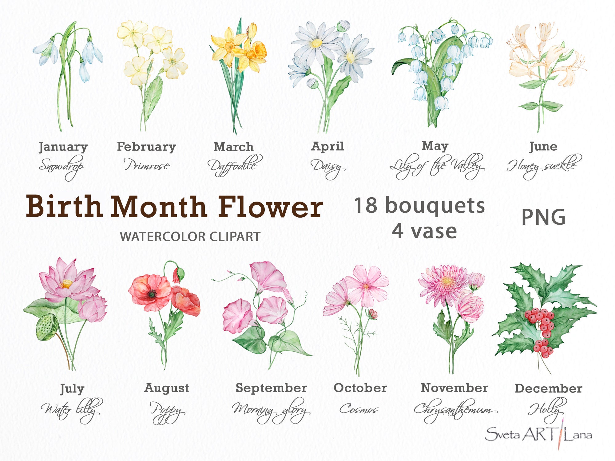 Watercolor Birth Month Flower Clipart Floral PNG Birthday - Etsy