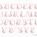 Flopsy Rabbit Pink Floral Alphabet Clipart | Watercolor Alphabet PNG ...