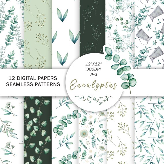 Watercolor Eucalyptus Digital Paper Clipart Floral Seamless - Etsy