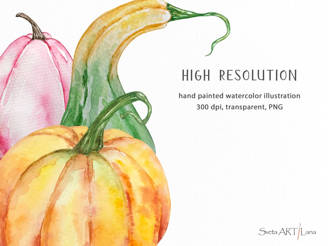 Watercolor Pumpkin Clipart Autumn Pumpkins Clip Art Fall - Etsy