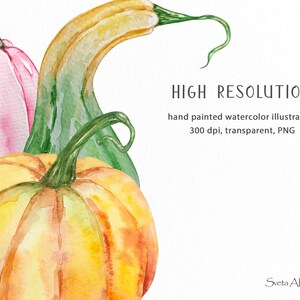 Watercolor Pumpkin Clipart Autumn Pumpkins Clip Art Fall - Etsy