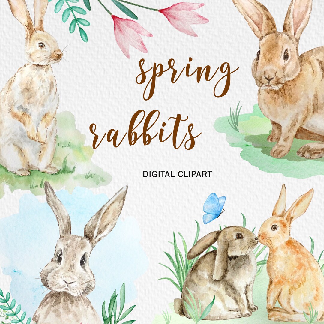 Watercolor Easter Clipart Spring Rabbit Clipart Watercolor - Etsy