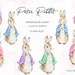 Watercolor Peter Rabbit Clipart PNG | Beatrix Potter Characters Art ...