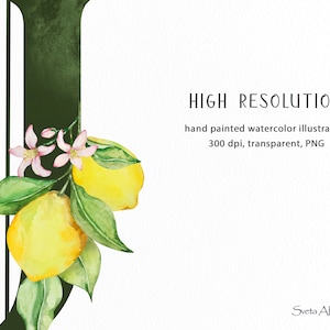 Lemon Alphabet Clipart | Watercolor Summer Lemon Alphabet PNG | Citrus ...