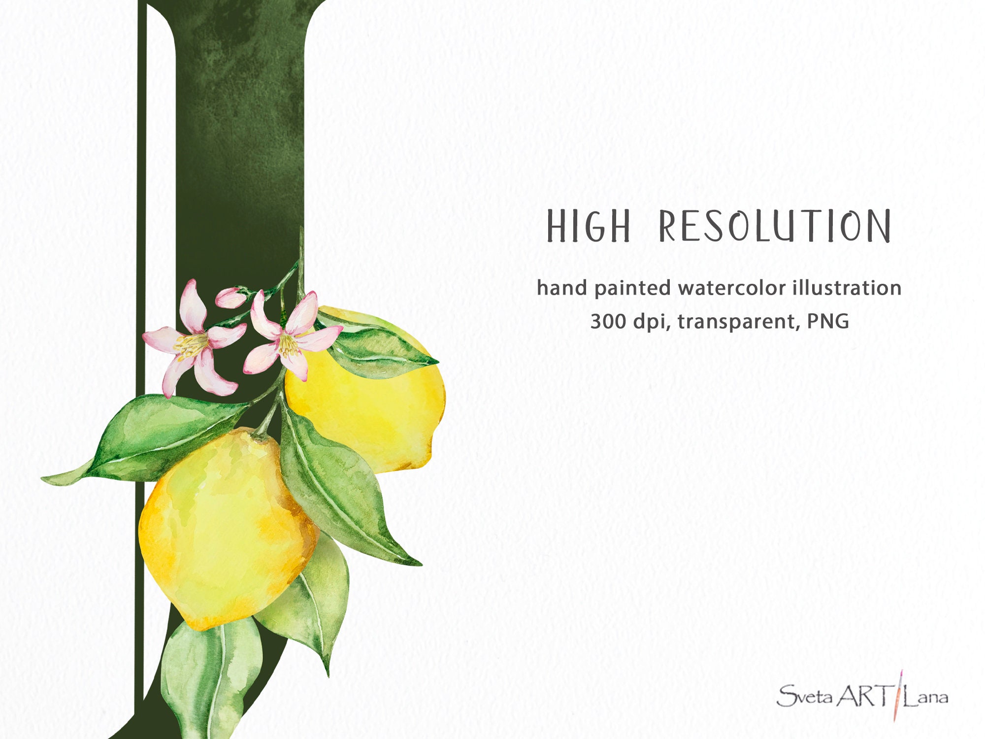 Lemon Alphabet Clipart | Watercolor Summer Lemon Alphabet PNG | Citrus ...