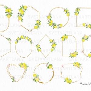 Lemons Golden Frames Clipart | Tropical Citrus Png | Geometric Gold ...