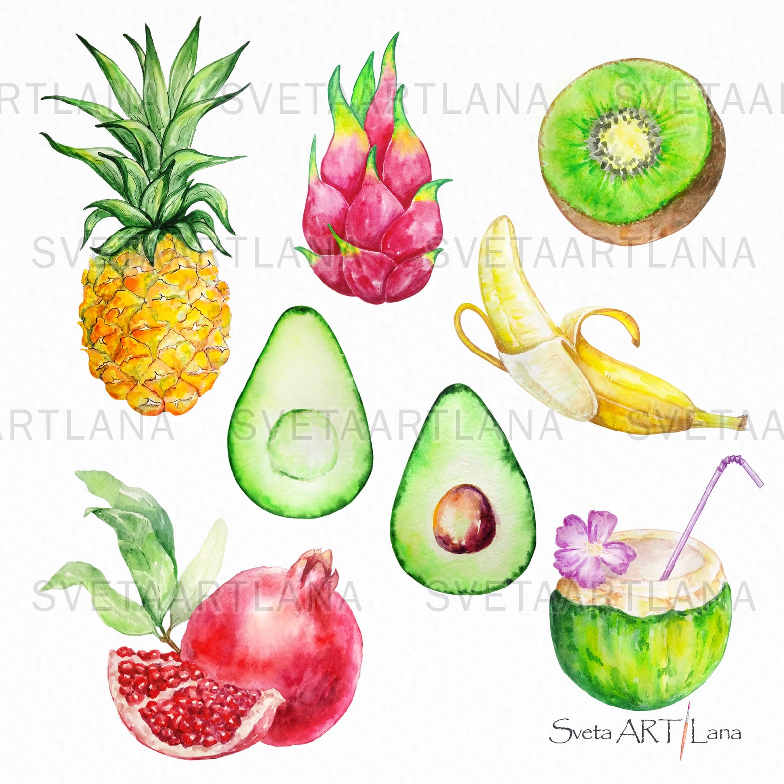 Watercolor Tropical Juicy Fruits Clipart Watercolor Summer - Etsy