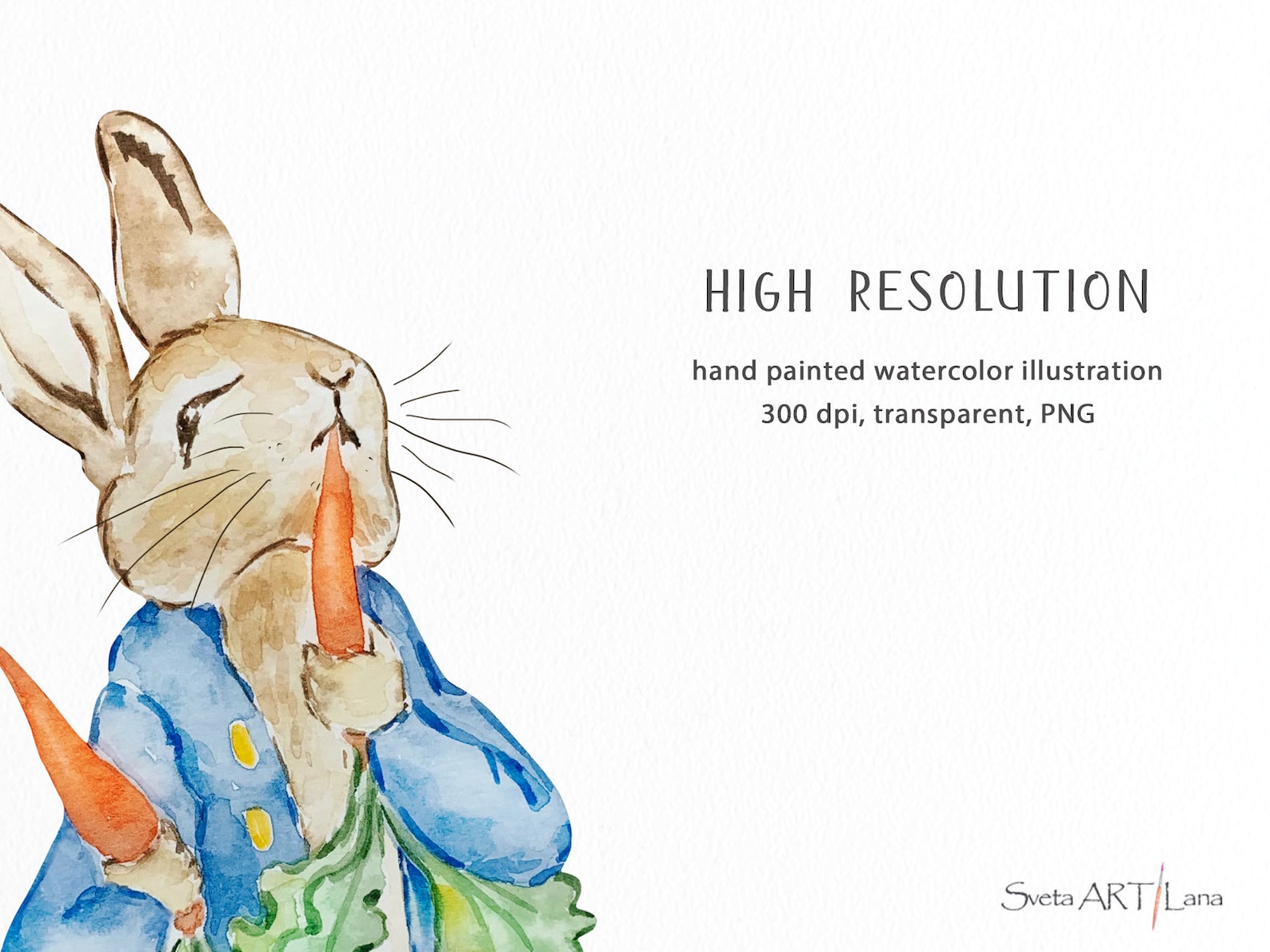 Peter Rabbit and Friends Clip Art Watercolor Rabbit PNG - Etsy