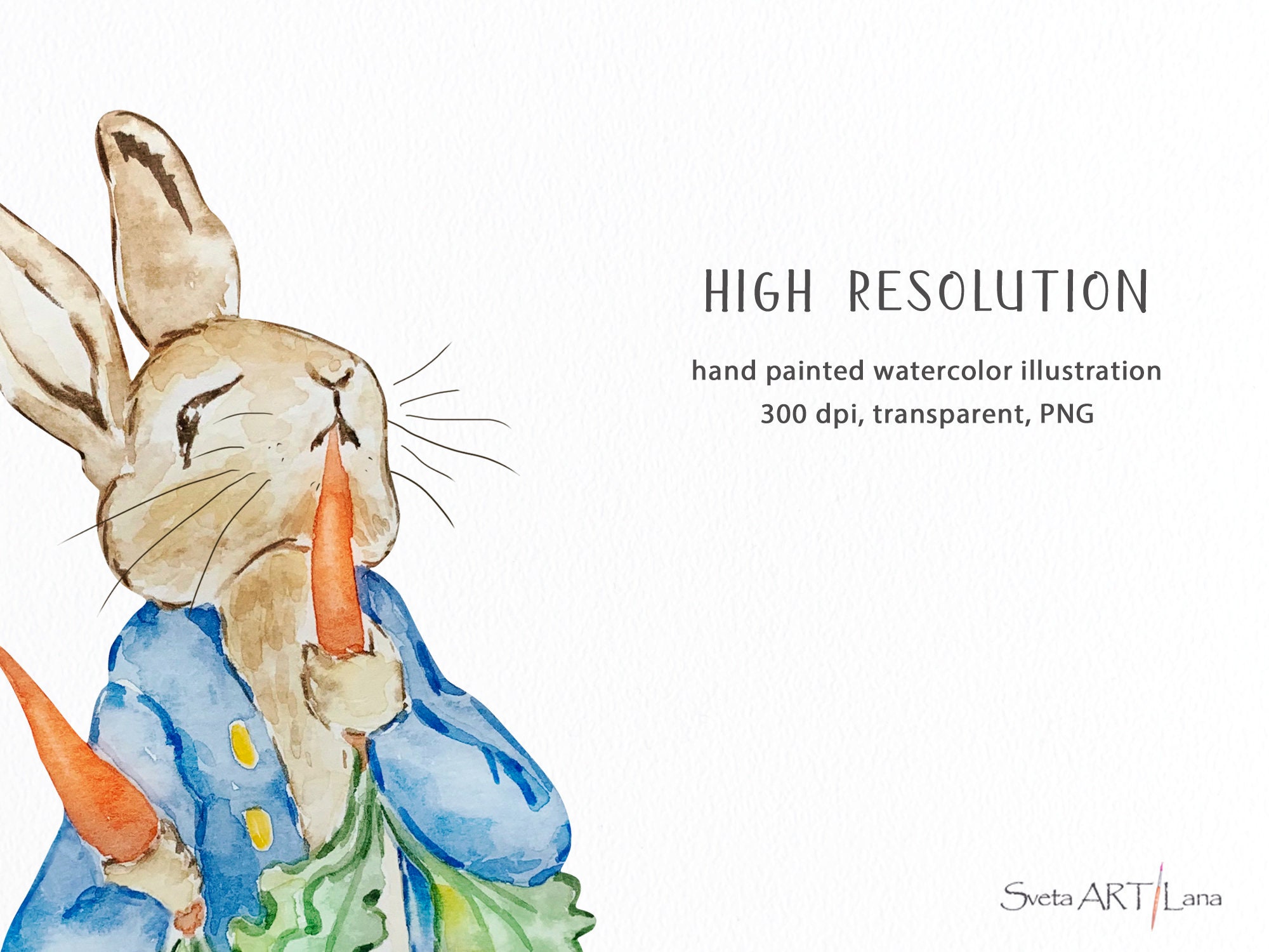 Peter Rabbit and Friends Clip Art Watercolor Rabbit PNG - Etsy