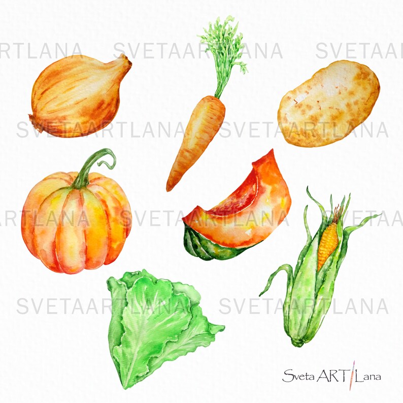 Watercolor Vegetables Clipart Healthy Food Ethical Living - Etsy