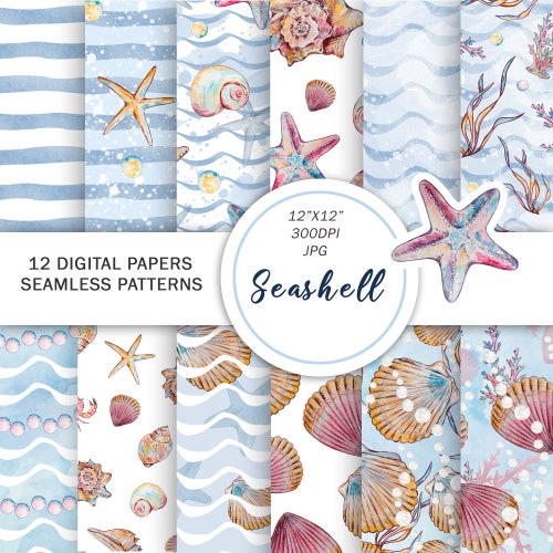 Watercolor Seashells Clipart Summer Clip Art Nautical - Etsy