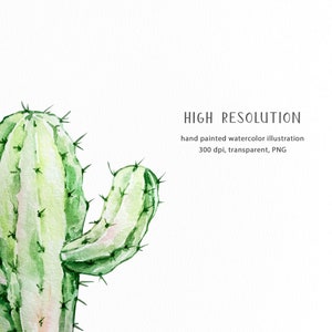 Watercolor Cactus Clipart | Boho Tropical Plant | Mexican Cacti ...