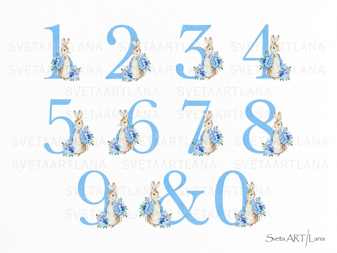 Peter Rabbit Blue Floral Numbers PNG Watercolor Peter Rabbit - Etsy