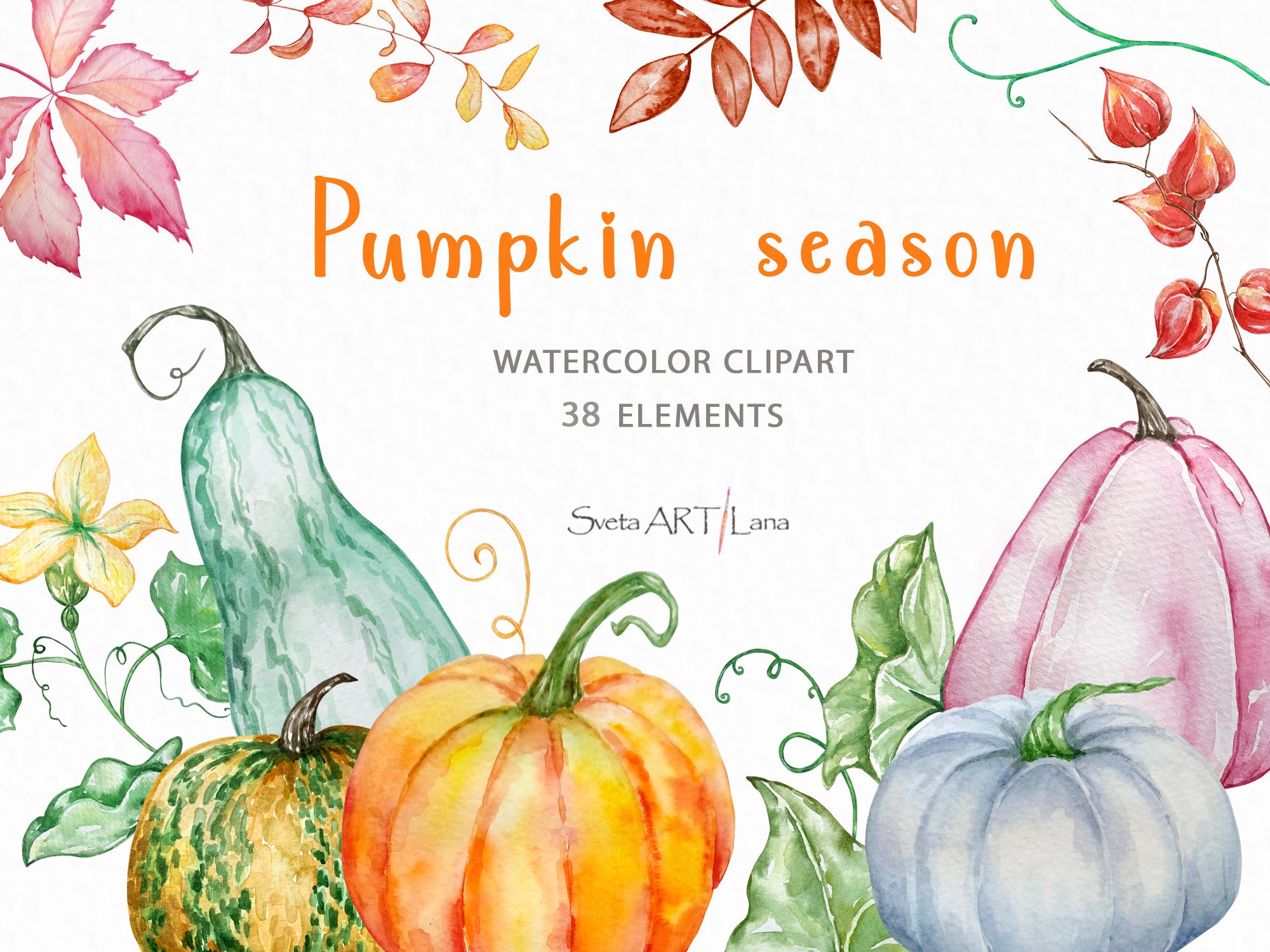 Pumpkin Watercolor Clipart Autumn Harvest Fall Clipart - Etsy
