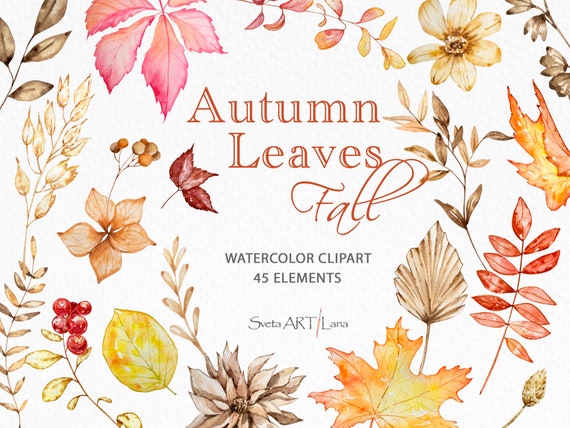 Watercolor Autumn Leaves Clipart Fall Leaves Clipart Autumn | Etsy