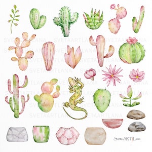 Watercolor Cactus Clipart | Boho Tropical Plant | Mexican Cacti ...