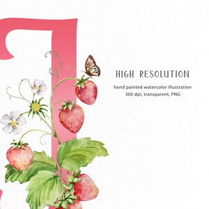 Strawberry Alphabet Clipart | Watercolor Strawberry | Red Letters ...