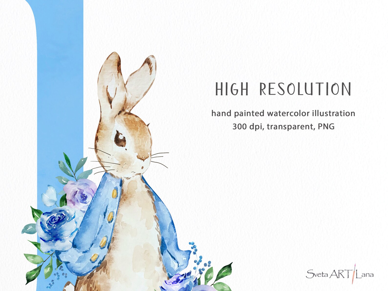 Peter Rabbit Blue Floral Numbers PNG Watercolor Peter Rabbit - Etsy