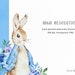 Peter Rabbit Blue Floral Numbers PNG | Watercolor Peter Rabbit ...