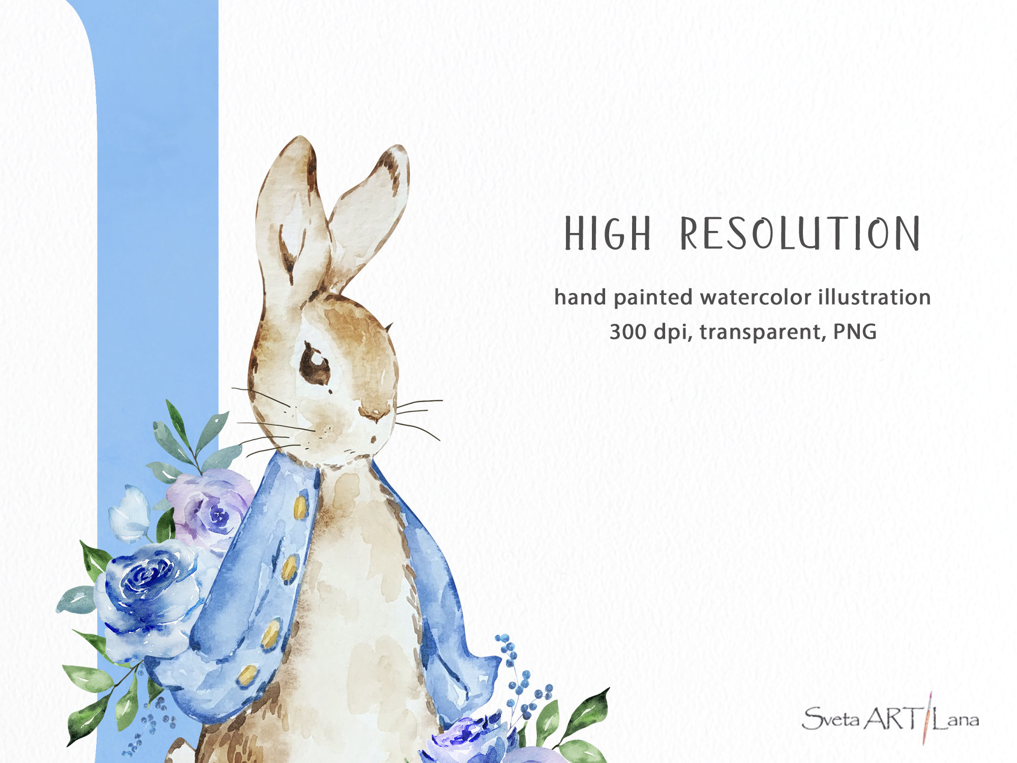 Peter Rabbit Blue Floral Numbers PNG Watercolor Peter Rabbit - Etsy